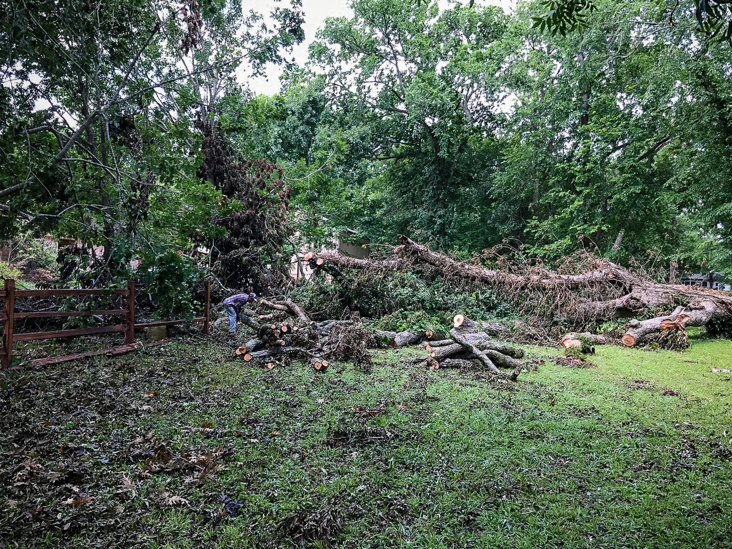 All about Storm Clean up – Tree Services in Houston – Tree Removal ...
